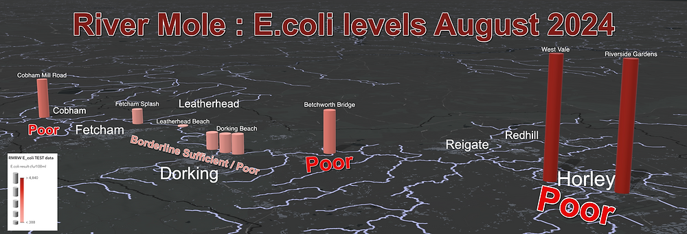 River Mole E. Coli Levels: Our first look at Bacterial Risks Across the ...