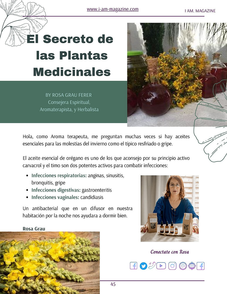 EL SECRETO DE LAS PLANTAS MEDICINALES