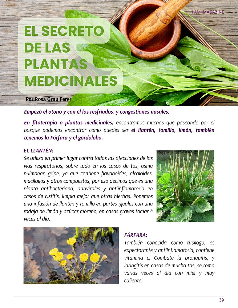 El Secreto de las Plantas Medicinales