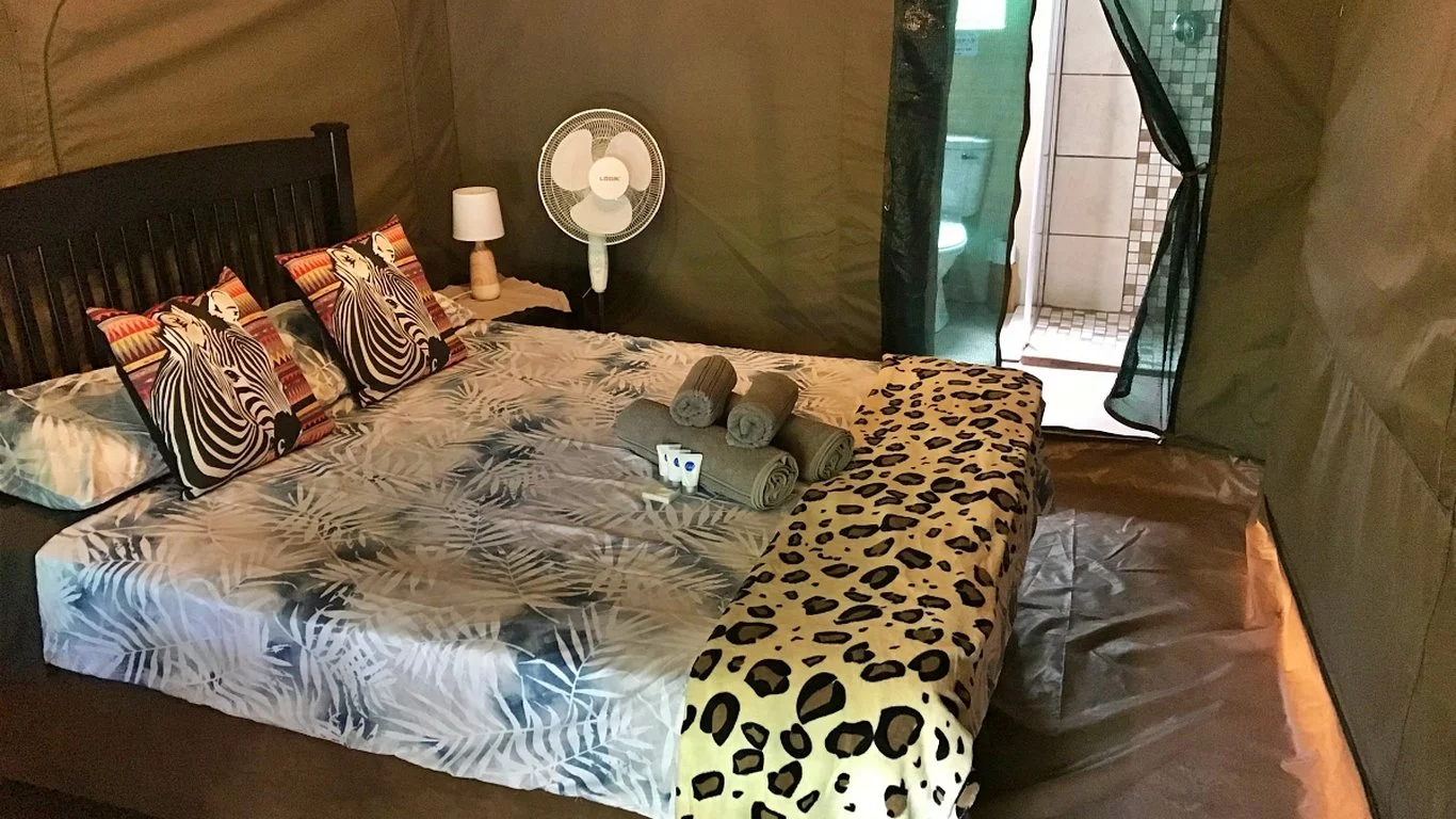 Tentco Sahara Deluxe D-Door | XpeditioNZ