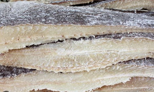 Salted Cod Fish (Bacalhau Salgado) | Open Sea Fish Market