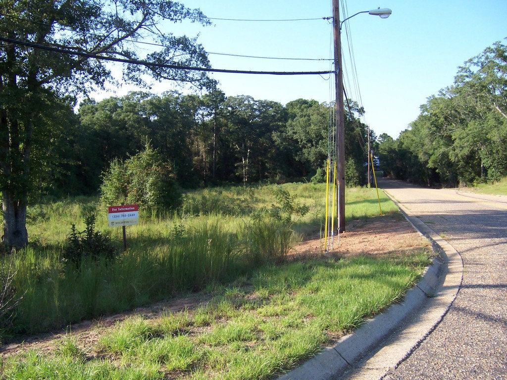 Horace Shepard Drive