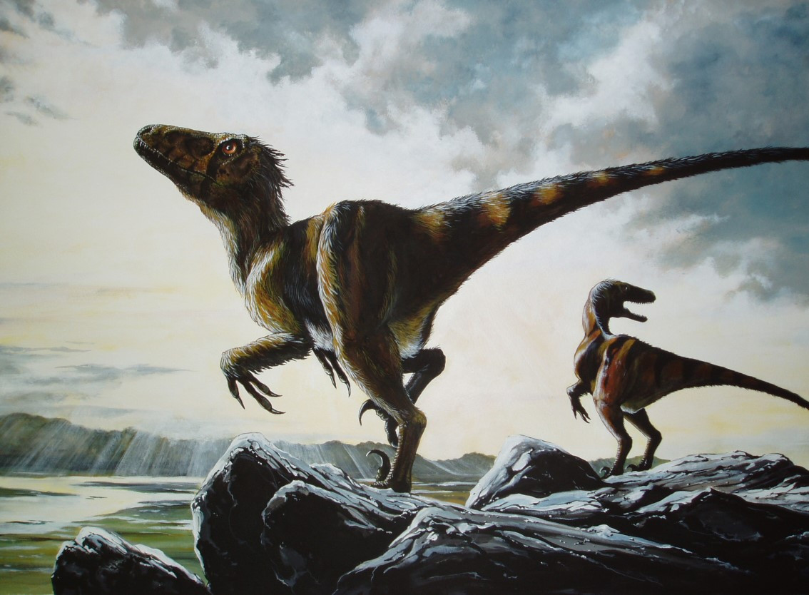 Home | Dinodreaming