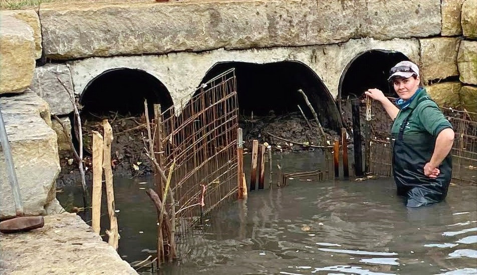 Wildlife Removal | Frontier Trapper