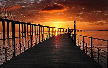 Gentle Transportation | Guardian