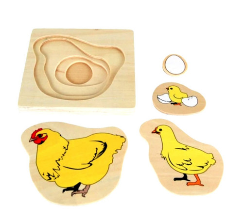 Life cycle of a chicken puzzle | Montessoriteachermom