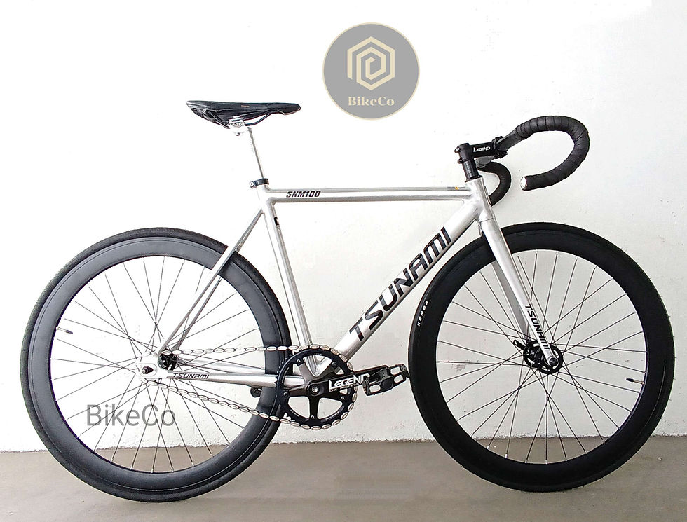 TSUNAMI SMN100 Silver Fixie | Fixed Gear Bicycle | www.bikeco.com.sg