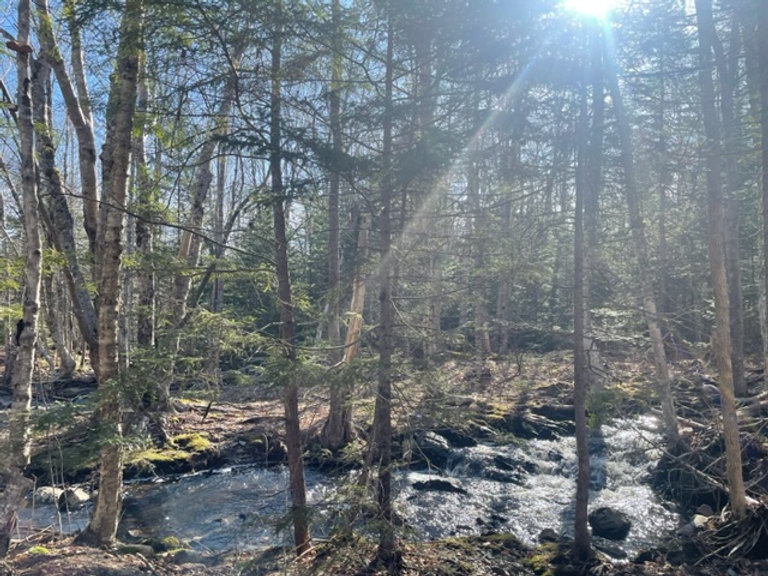 Revitalizing Earth Sciences: Weaving Indigenous Knowledge with Western ...