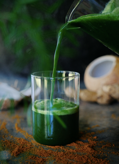 קוסטה ריקה 2025 | Ran Kalif