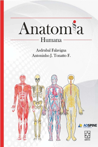 Anatomia humana | Drive de Estudos