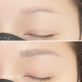 highbrow eyebrows