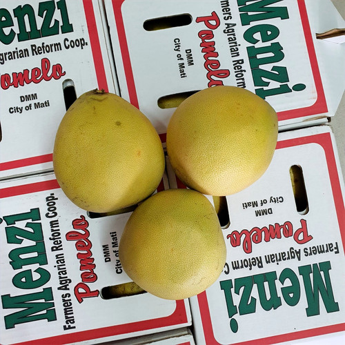 Davao Menzi Pomelo Small 5 kg box | KusinaMart