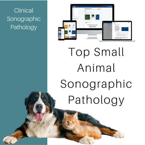 Top Small Animal Sonographic Pathology | SonoPath