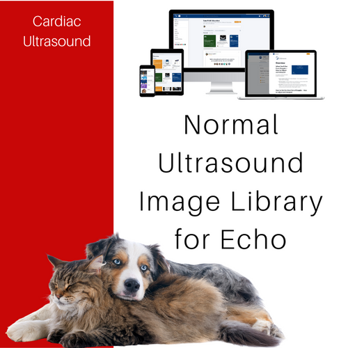 Normal Ultrasound Image Library- Echo | SonoPath