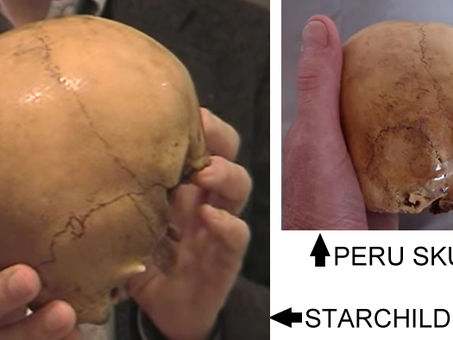 Starchild Project News