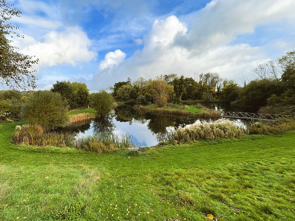 Annual Membership | Duncton Mill Fishery