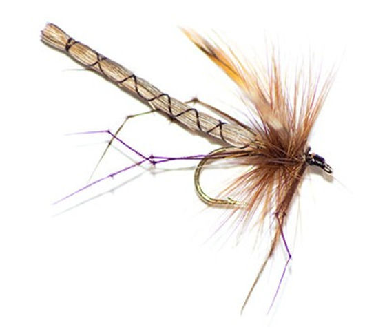 Top Flies To Help You Catch Trout In The Winter