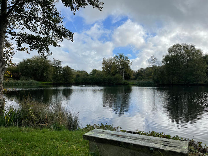 GALLERY | Duncton Mill Fishery