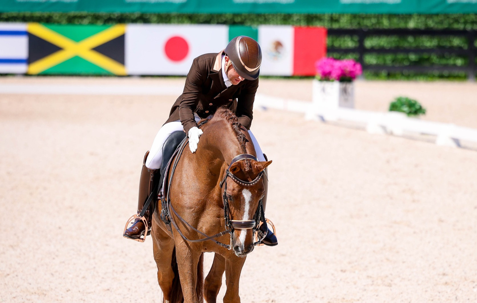 Coalcyn Equestrian LLC | Professional dressage rider and breeder | 606 ...