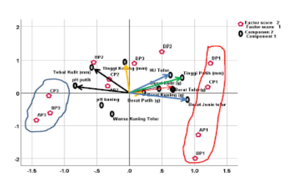 SPSS : ANALISIS BIPLOT