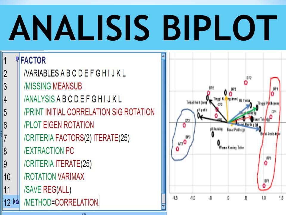 SPSS : ANALISIS BIPLOT
