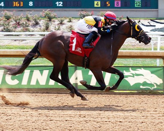 Tim Hamm Racing | Horse trainer