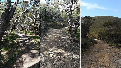 Tomaree Coastal Walk - 27 km | from Tomaree Lodge to Birubi Beach ...