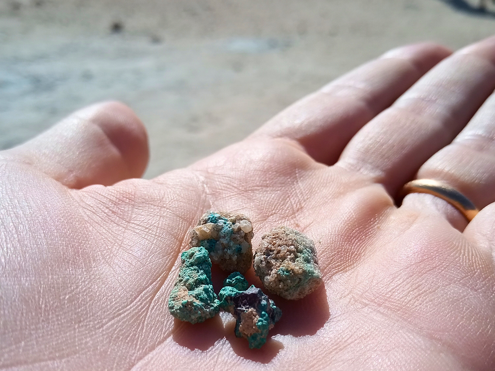 Tour of the Negev Desert | Israeli Steps - Lior Genah Private Tour ...