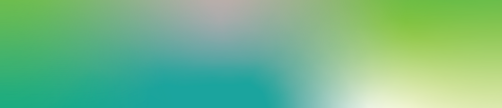 Home | BMP Home Page