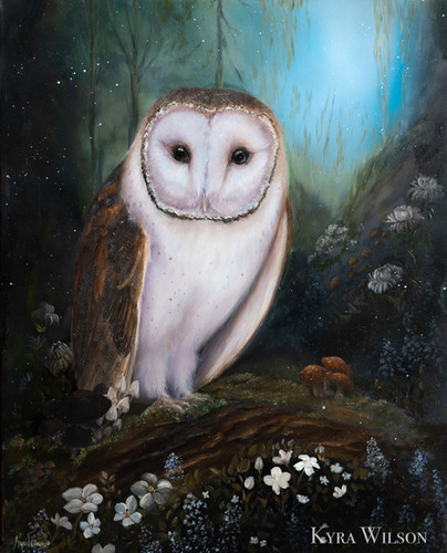 Umbra, Magnet | Kyra Wilson