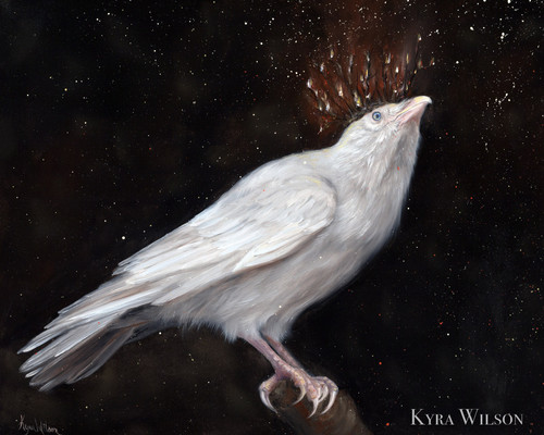 Illuminate, Magnet | Kyra Wilson