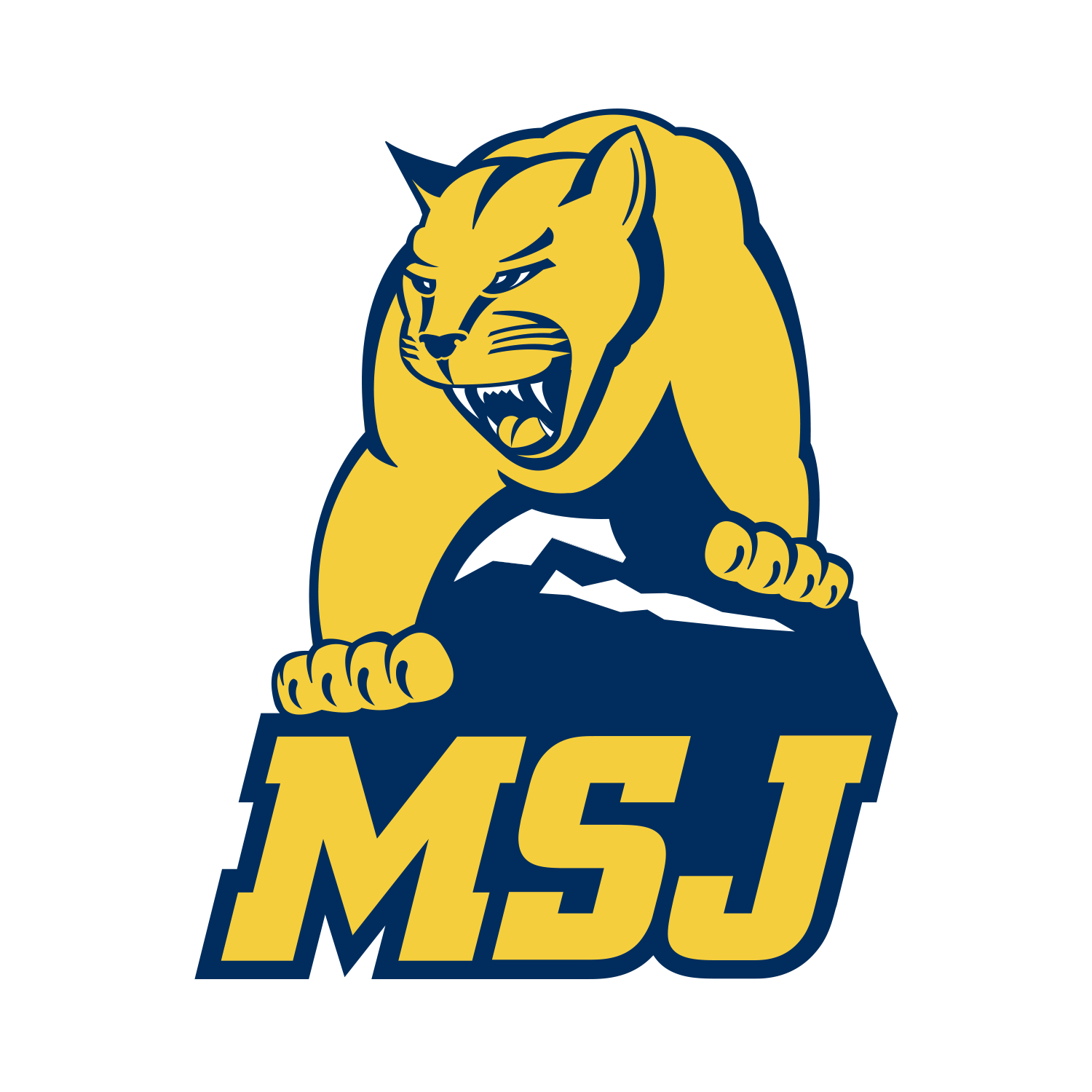 Mount St. Joseph University