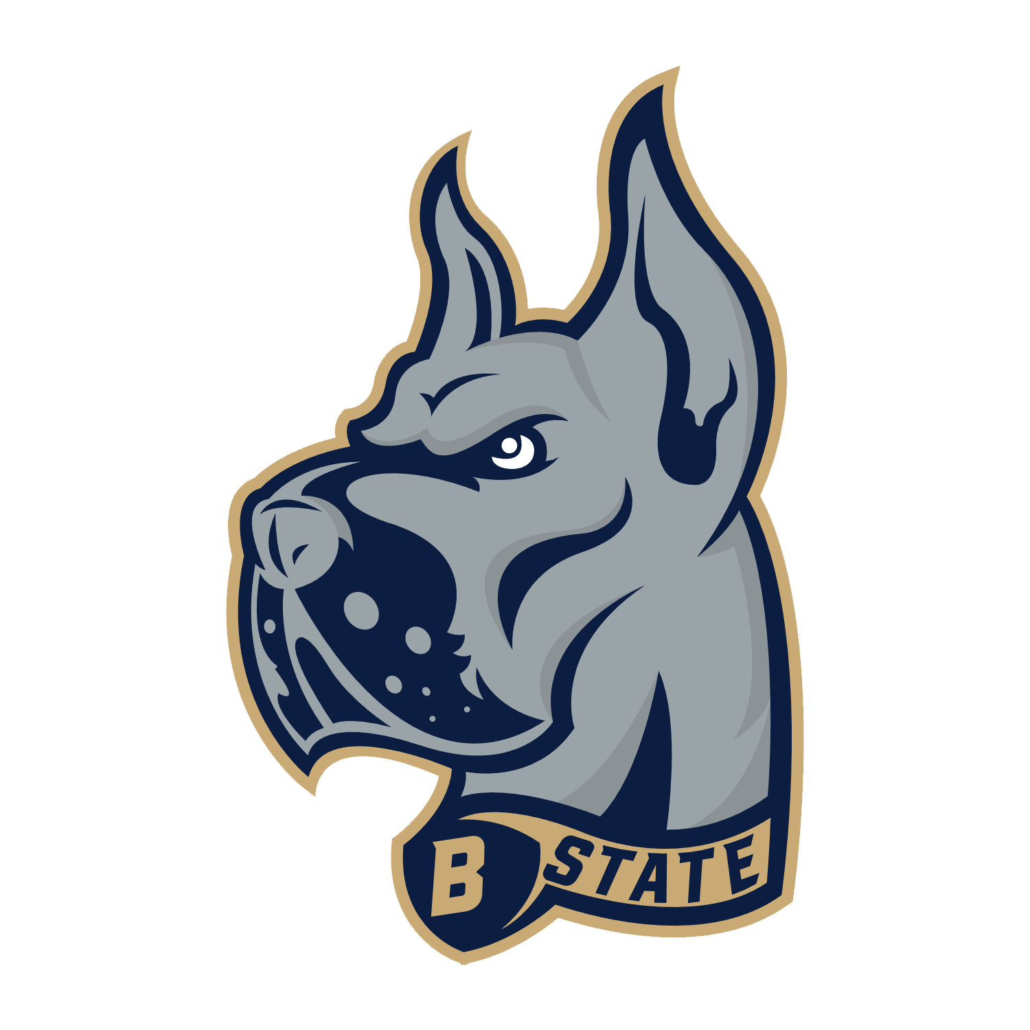 Bluefield State College