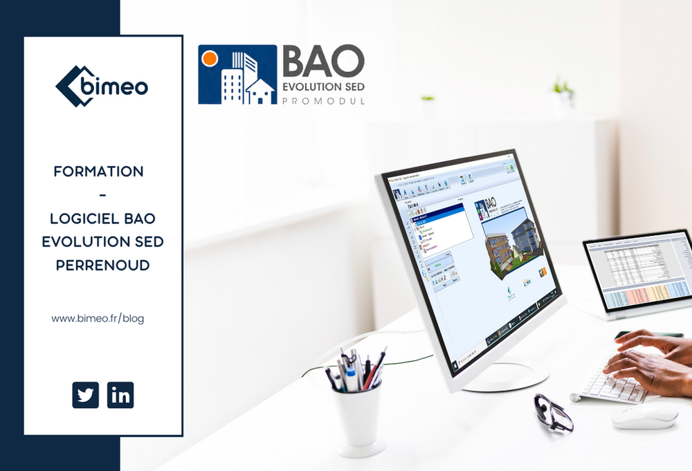 Formation : MODULE BAO EVOLUTION SED MI - Perrenoud