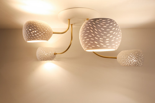 Four Leaf Clover | lightexture