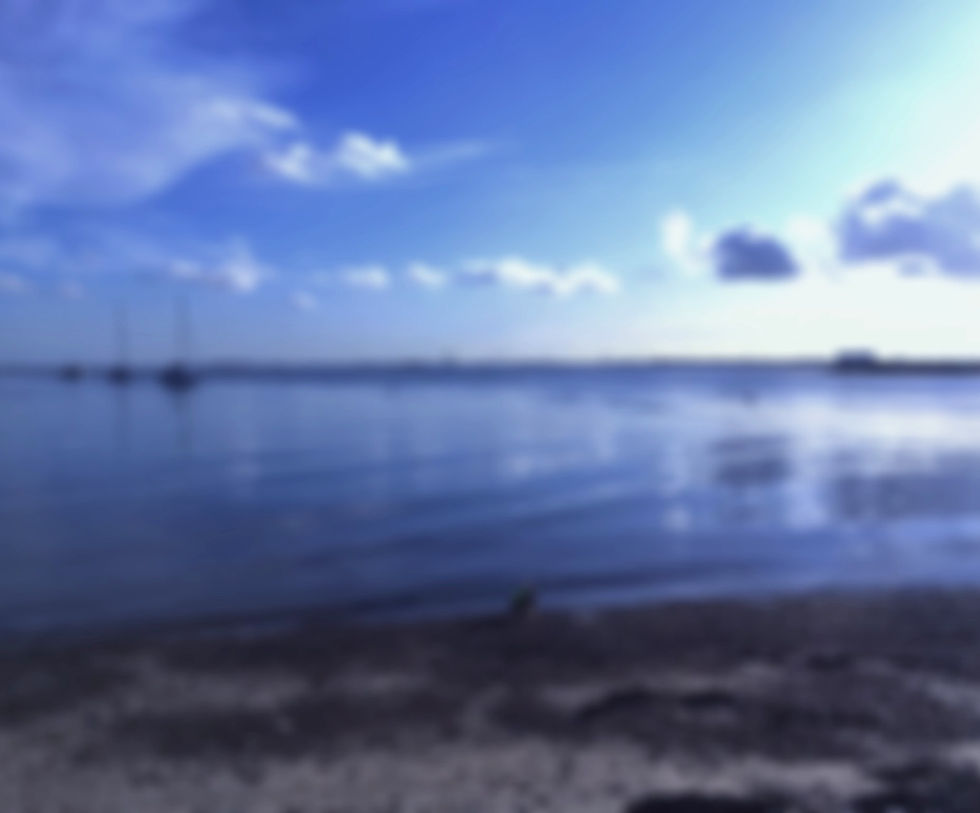 Home | Angela Patmore | An Author With Bite