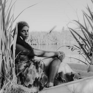 Photographer and Illustrator | TIGREASHA