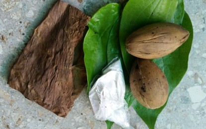 Betel Nut (Momma) 6pcs | Philippines Kratom