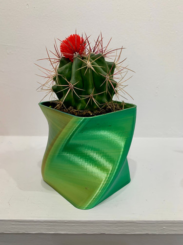 Selenium 3D Planter | DC Gallery & Studio