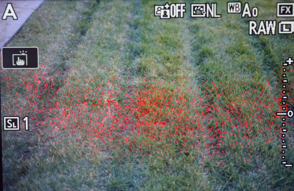 Lens Field Curvature Visualization