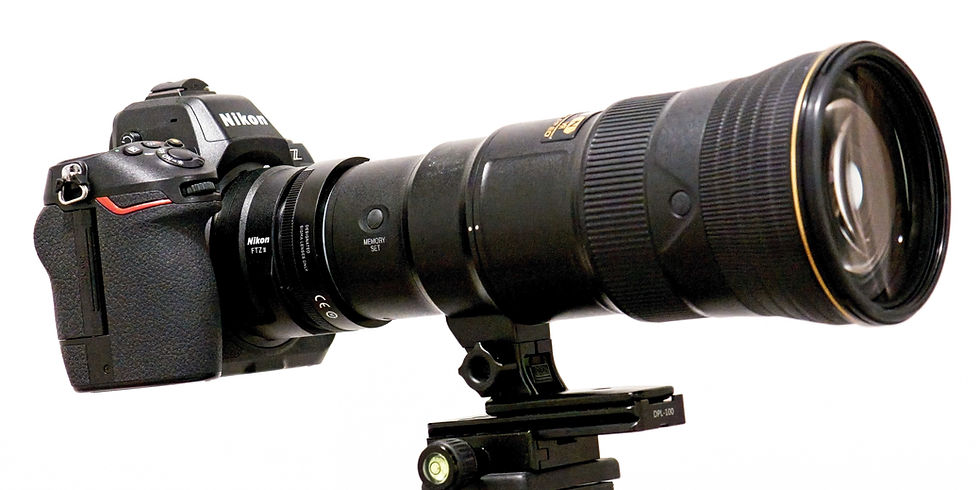 Nikon Z8 versus D850 Autofocus Wars