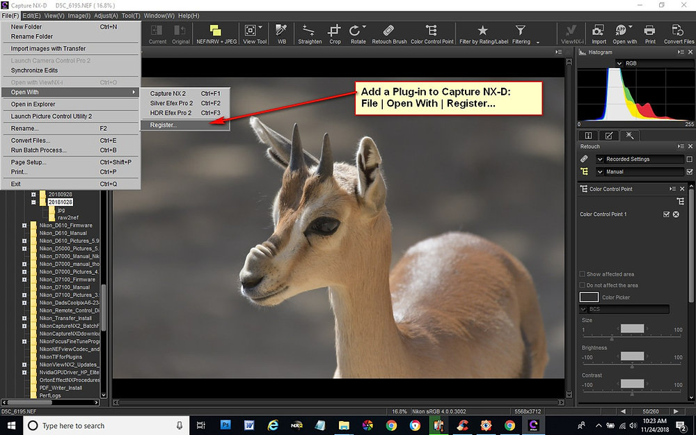Using Nik Plug-ins Stand-alone or Inside Nikon Capture NX-D