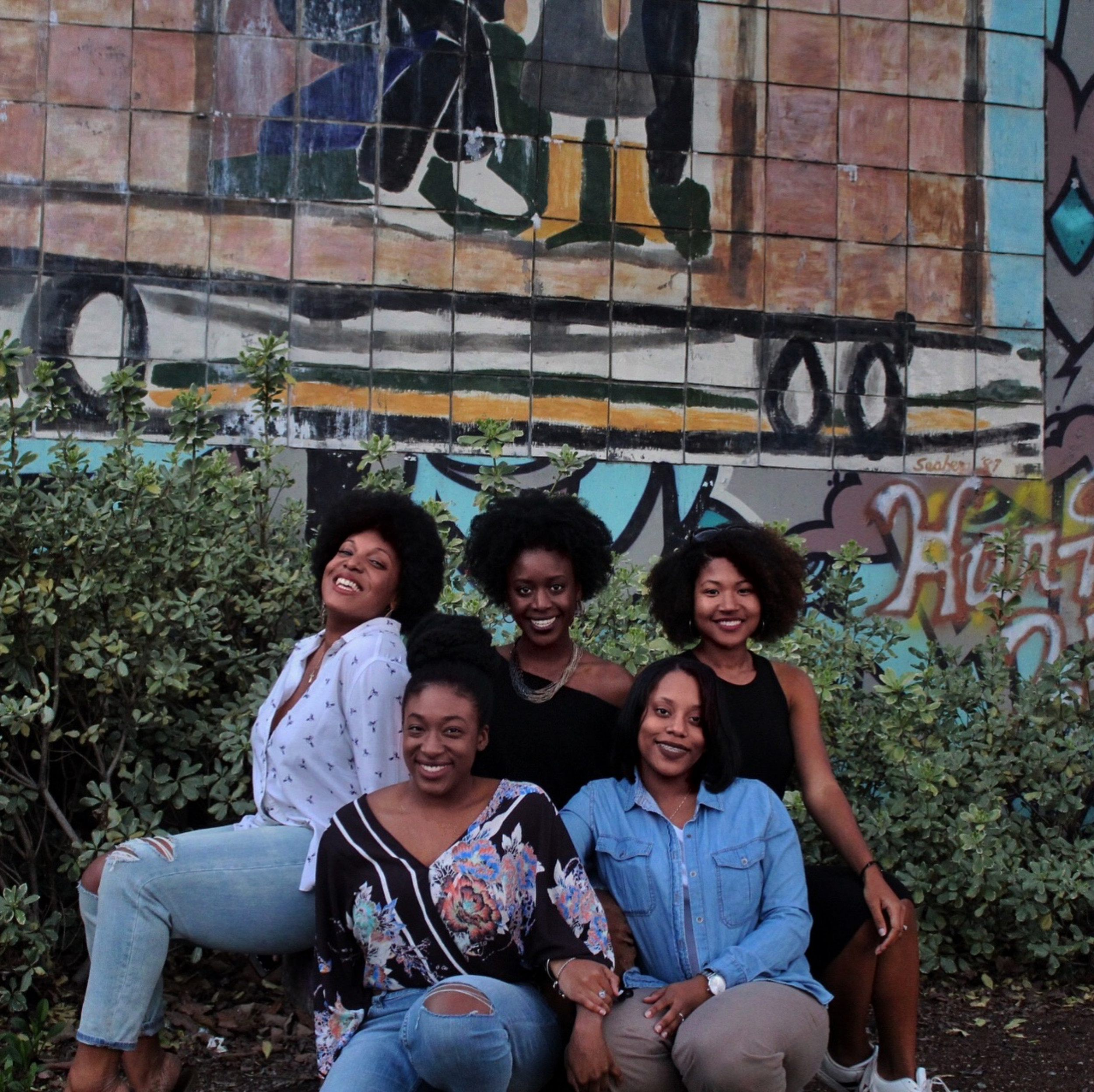 About Black Moms Of Suburbia