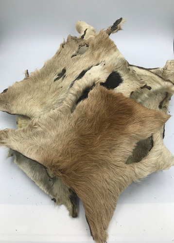 Wooly Beef Bark - Furry Cow Skin | Mia's Dog Shop