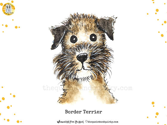 border terrier drawing