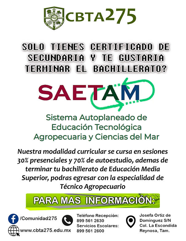 Preparatoria En Reynosa | Cbta 275, Comunidad 275 | Reynosa