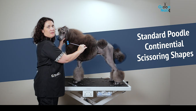 Sharon Hall | Groomer Nation