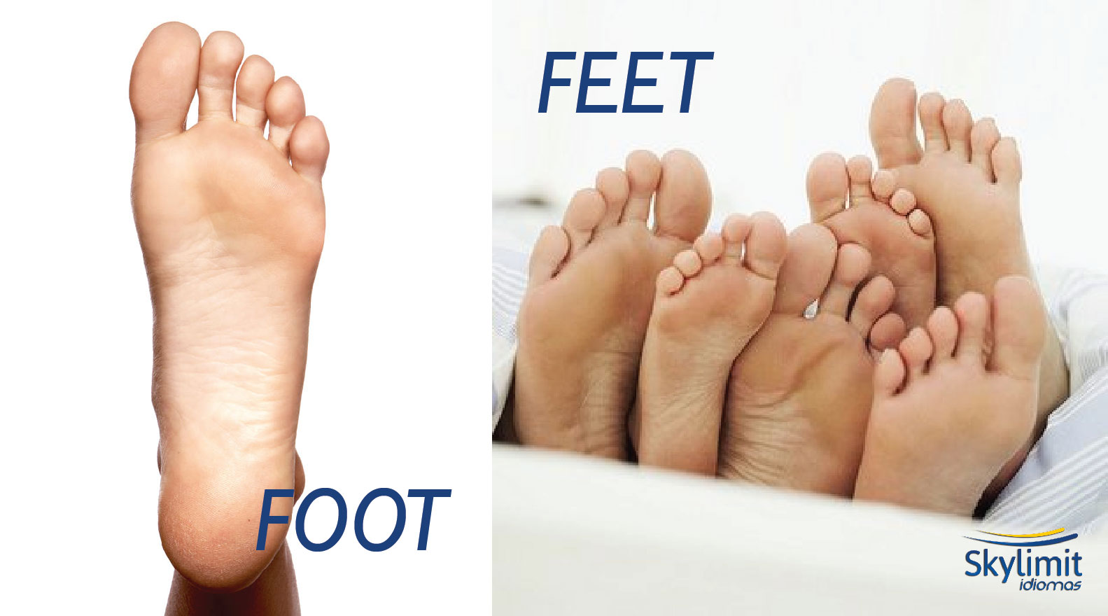 Foot ou feet? Não erre mais os plurais em inglês | Skylimit idiomas ...