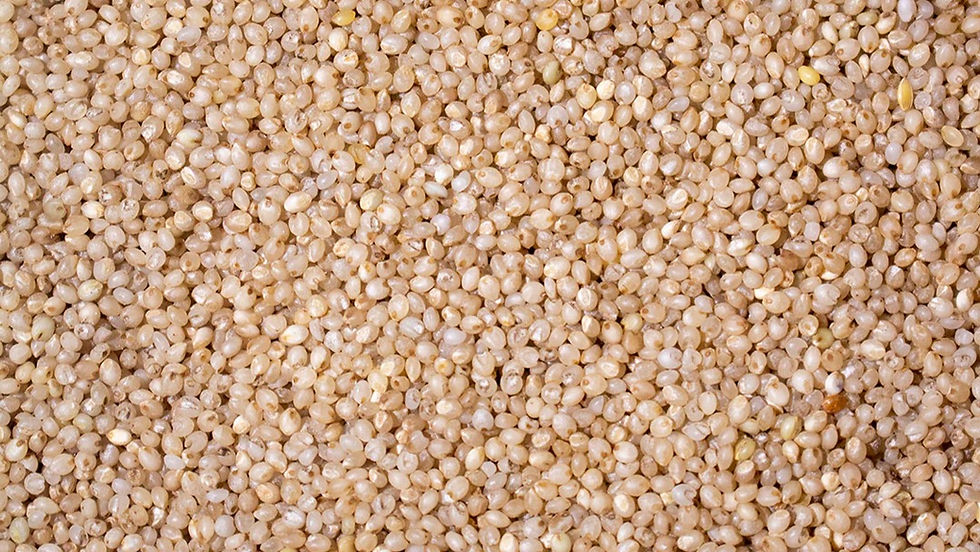 World of Millets: Small Seeds, Big Nutrition