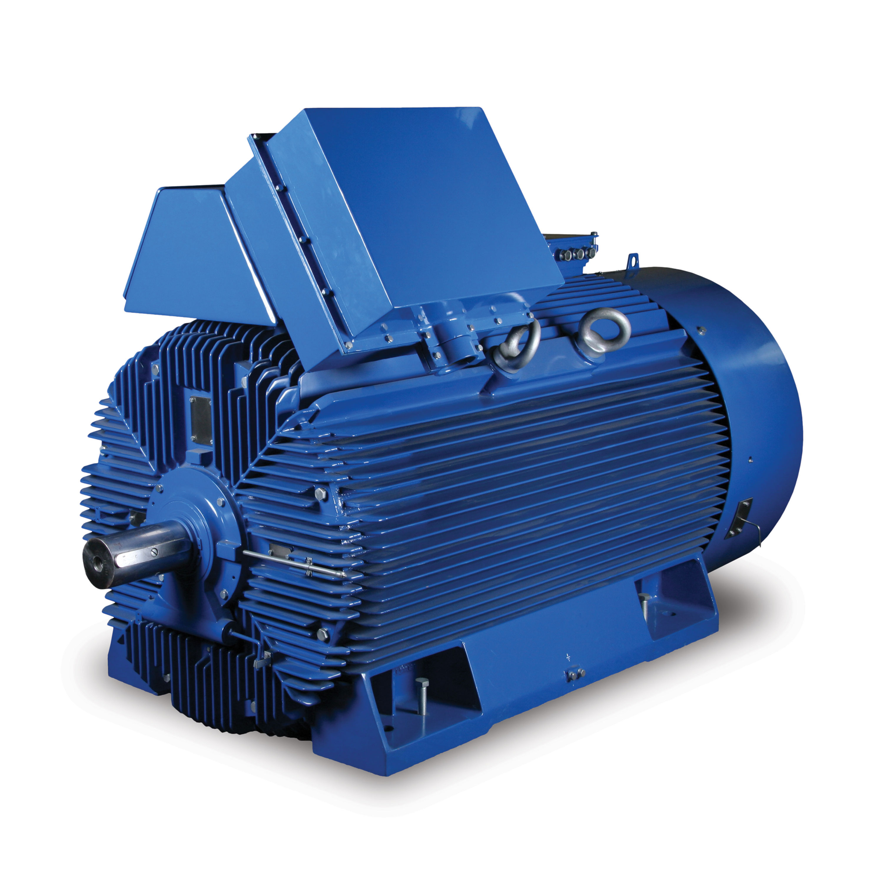 Large Frame Low Voltage Metric IEC Motors